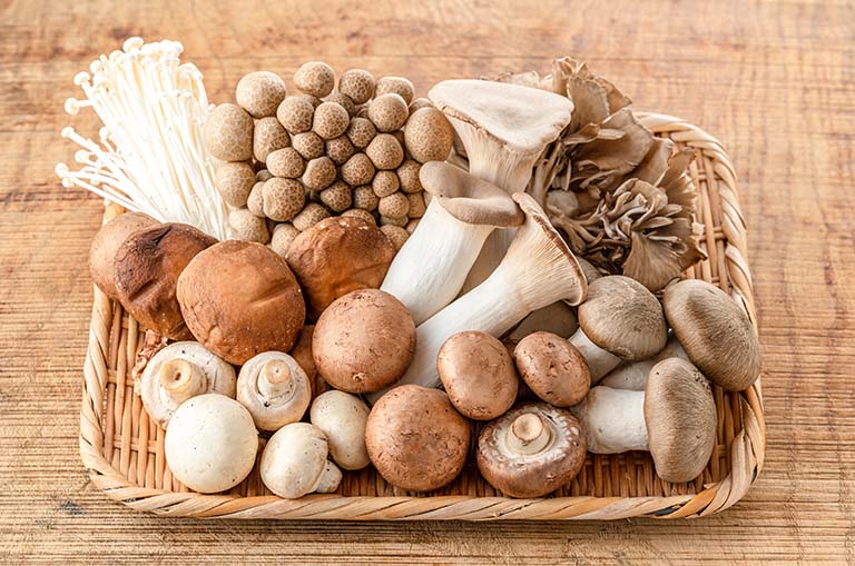 きのこの種類はたくさんあるけど“椎茸”の魅力って？｜1UPきのこファクトリー